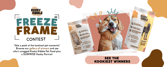 Freeze Frame Submissions – Kooky Kibble Singapore