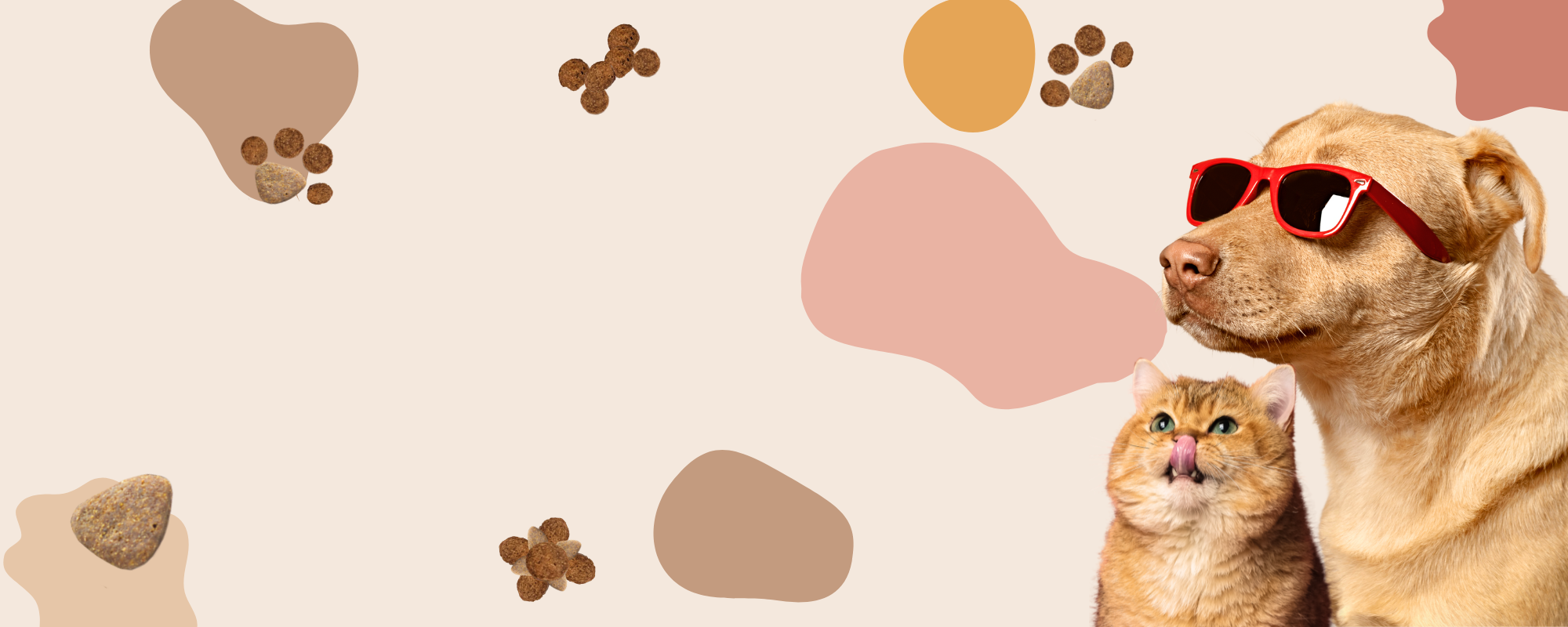 Kooky Kibble SG: Sustainable Pet Food Made in New Zealand – Kooky ...